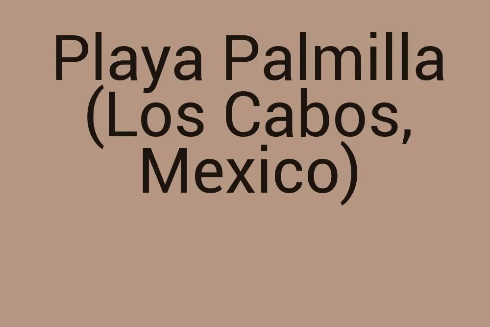 Playa Palmilla (Los Cabos, Mexico) - The World’s Beach Guide